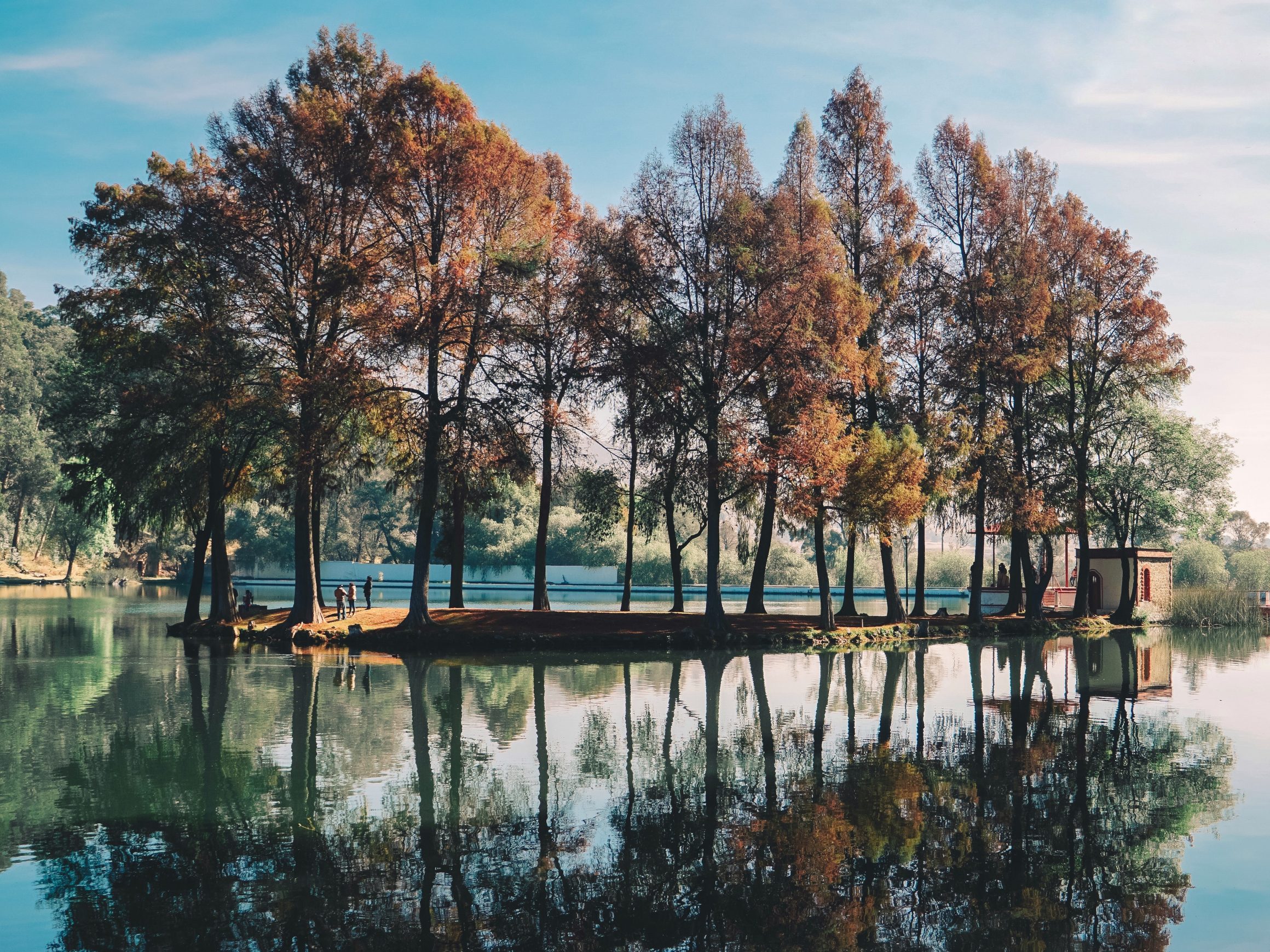 Expedition Times - Overflow Theme Demo