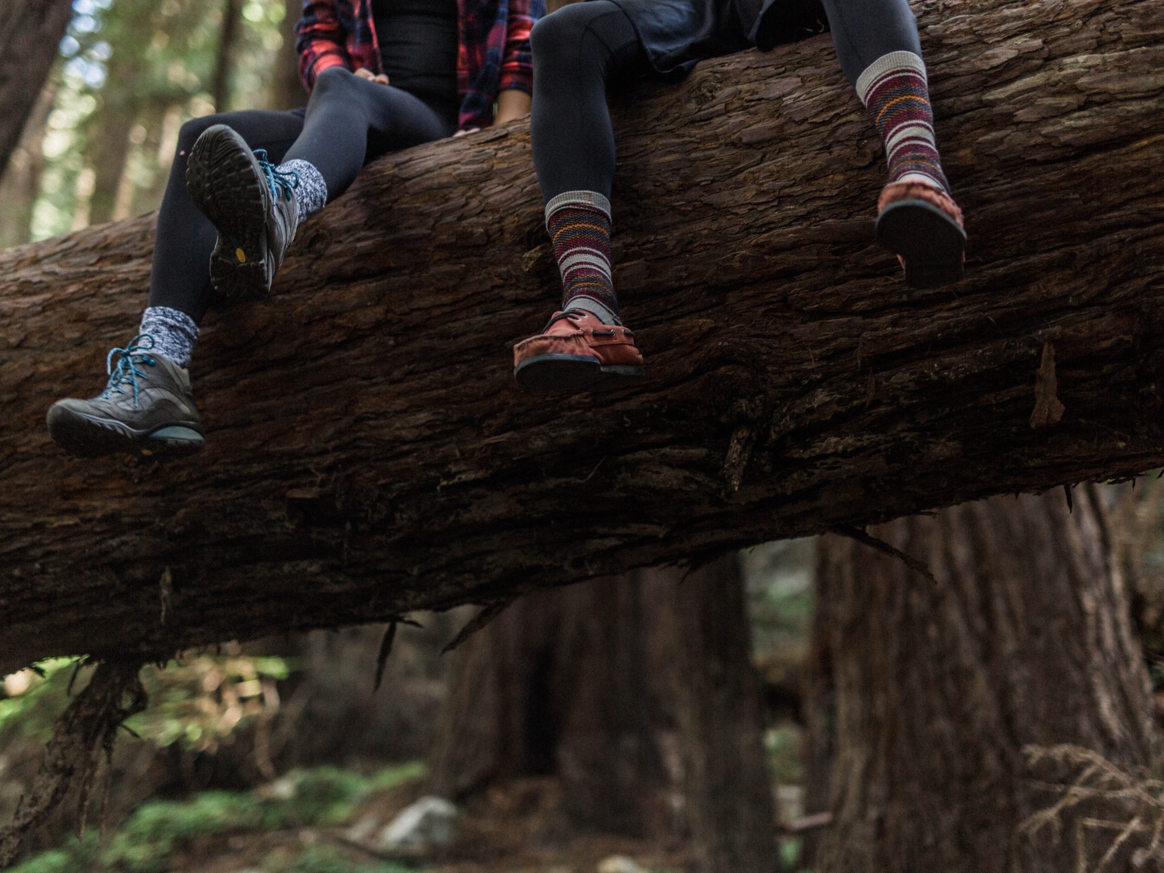 Expedition Times - Overflow Theme Demo